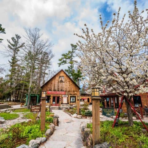 Traverse City, Michigan: Cherry Capital of the World - Follow The Piper